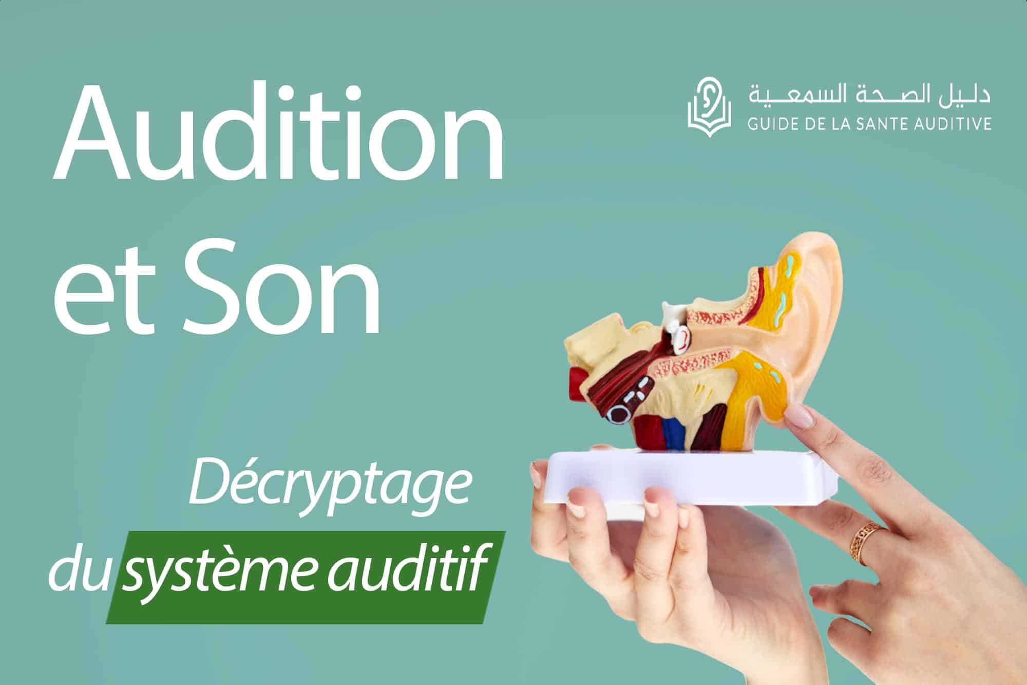 Sons et audition : de la physique à l'écoute, décryptage du système ...