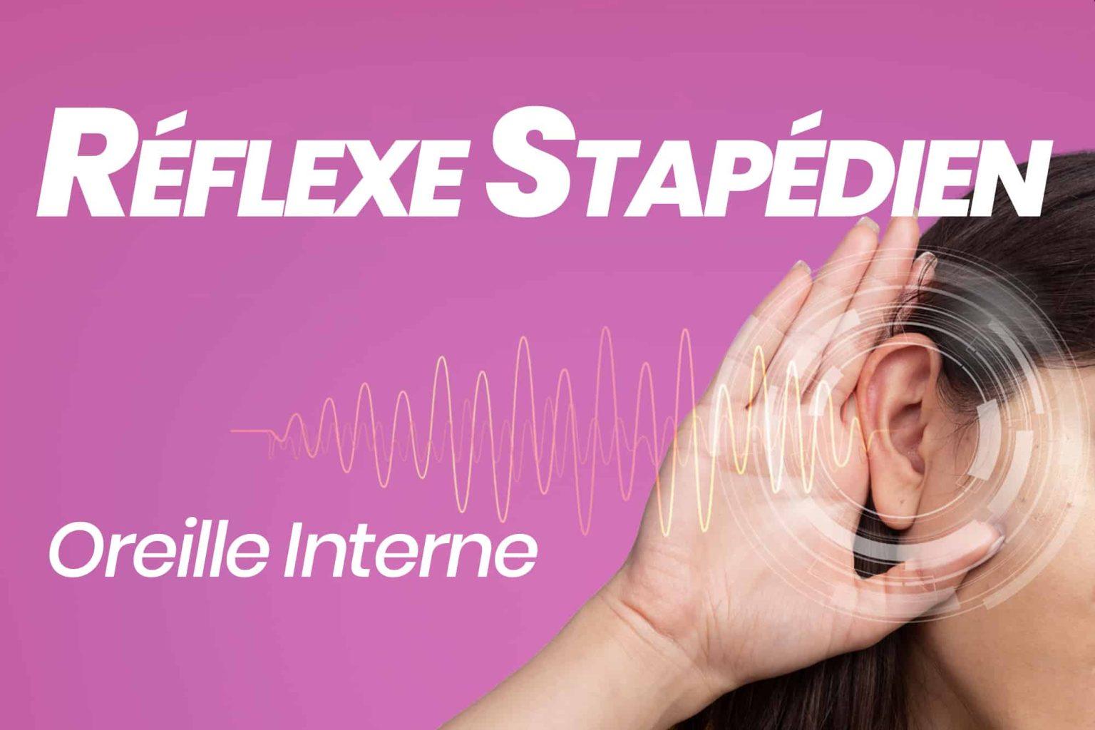 Le réflexe Stapédien et le muscle Stapédien : comprendre la contraction ...