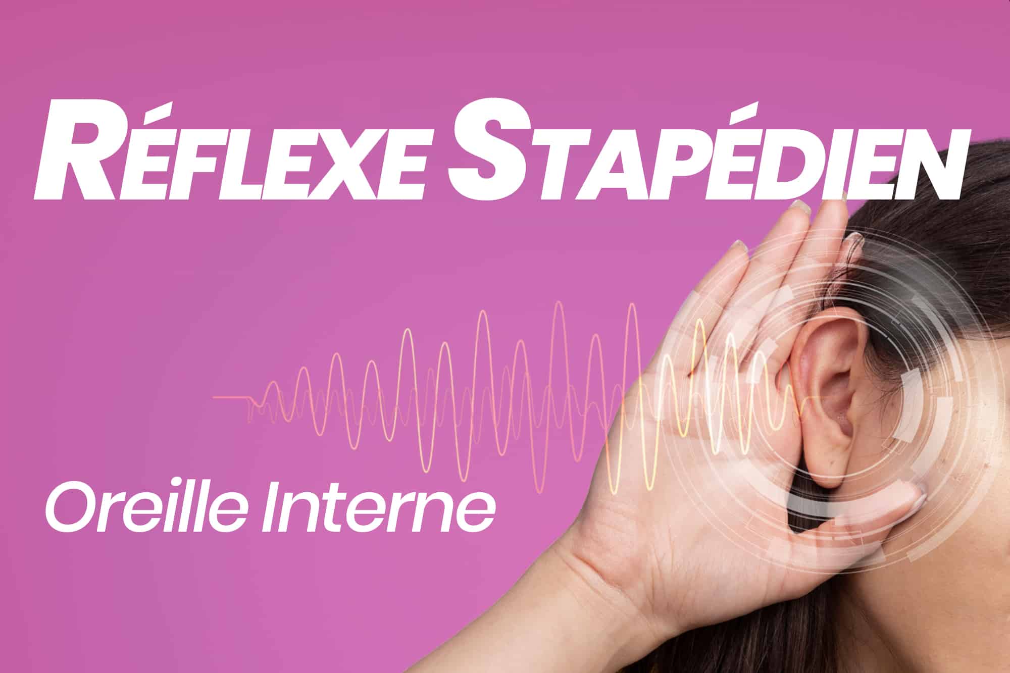 Le réflexe Stapédien et le muscle Stapédien : comprendre la contraction ...